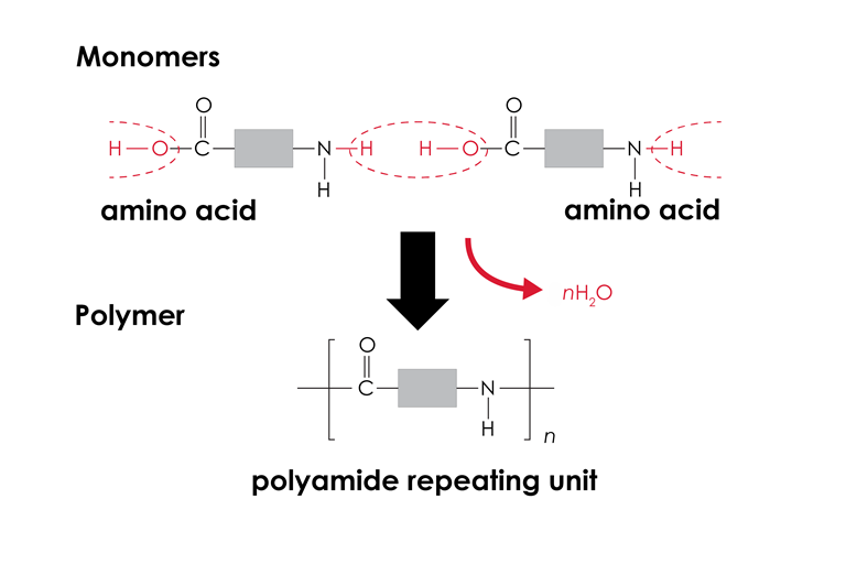 How to teach polymers at post-16 | CPD article | RSC Education